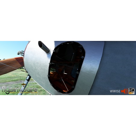 FLYSIMWARE NIEUPORT 24 MSFS2020
